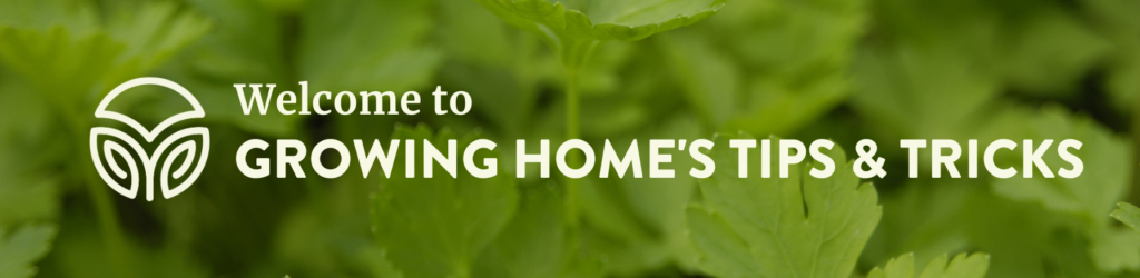 Growing Home Tips & Tricks | Growing Home